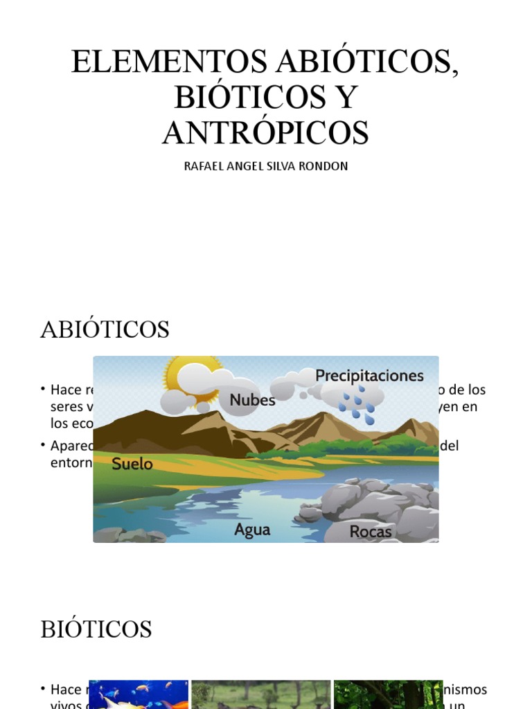 Elementos Abióticos, Bióticos y Antrópicos | PDF