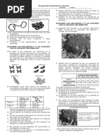 Origen Embrionario de los Tejidos Humanos | PDF | Embrión | Biología ...