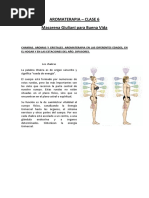 Test de Kramer y Chakras | PDF