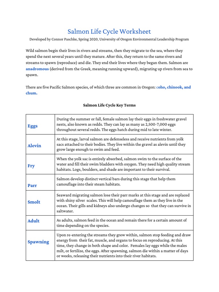 Salmon Worksheet | PDF | Spawn (Biology) | Salmon