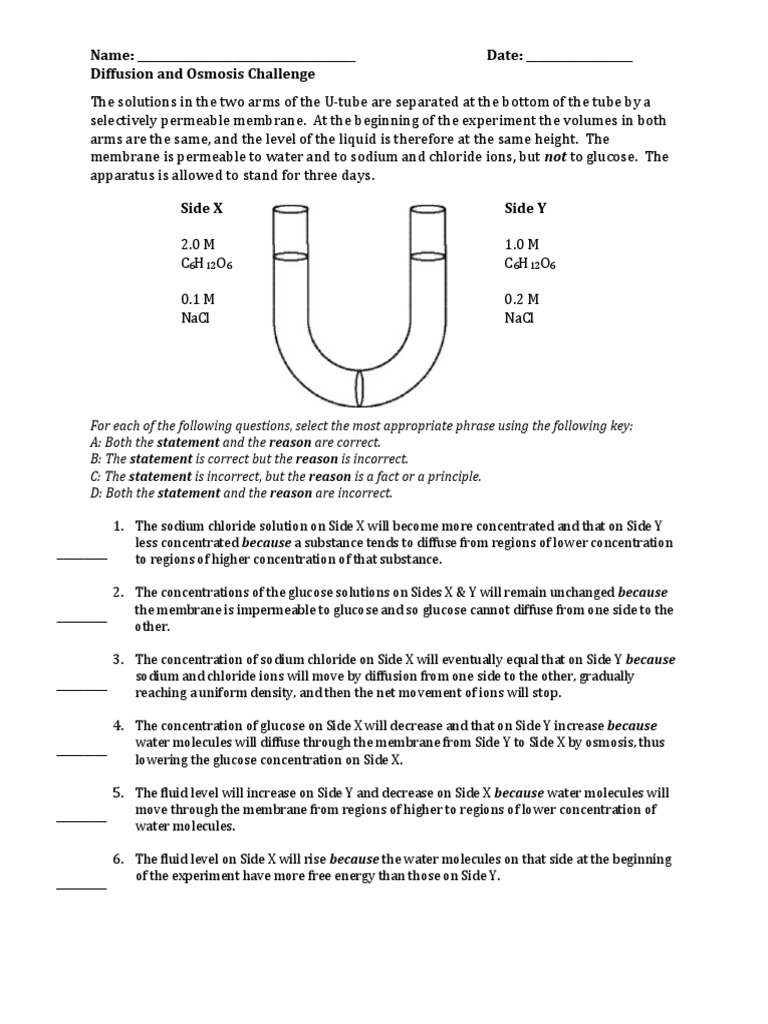 Diffusion and Osmosis Challenge Quiz | PDF | Osmosis | Chemical Engineering