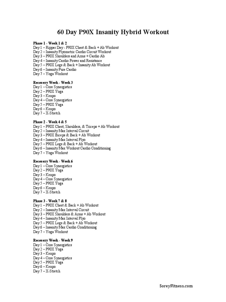 60 Day P90X Insanity Hybrid Workout | PDF