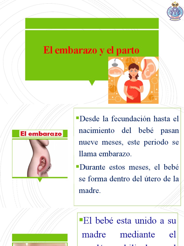 El Embarazo y El Parto | PDF