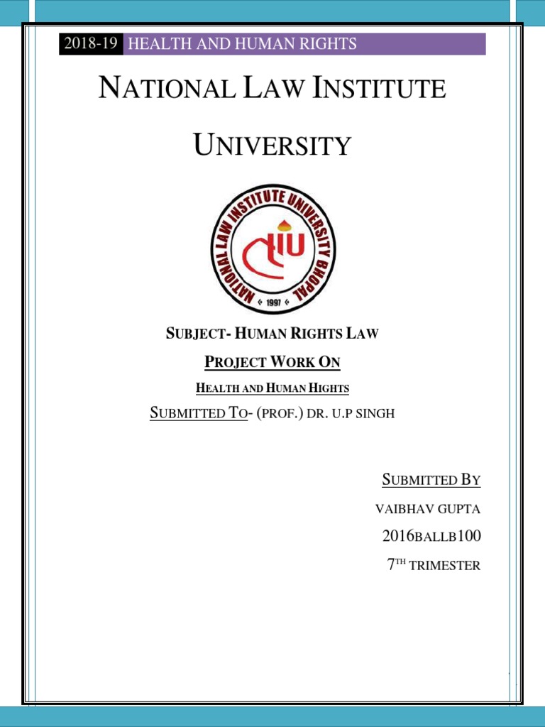 Human-Rights Project Final 2 | PDF | Health Care | Public Health