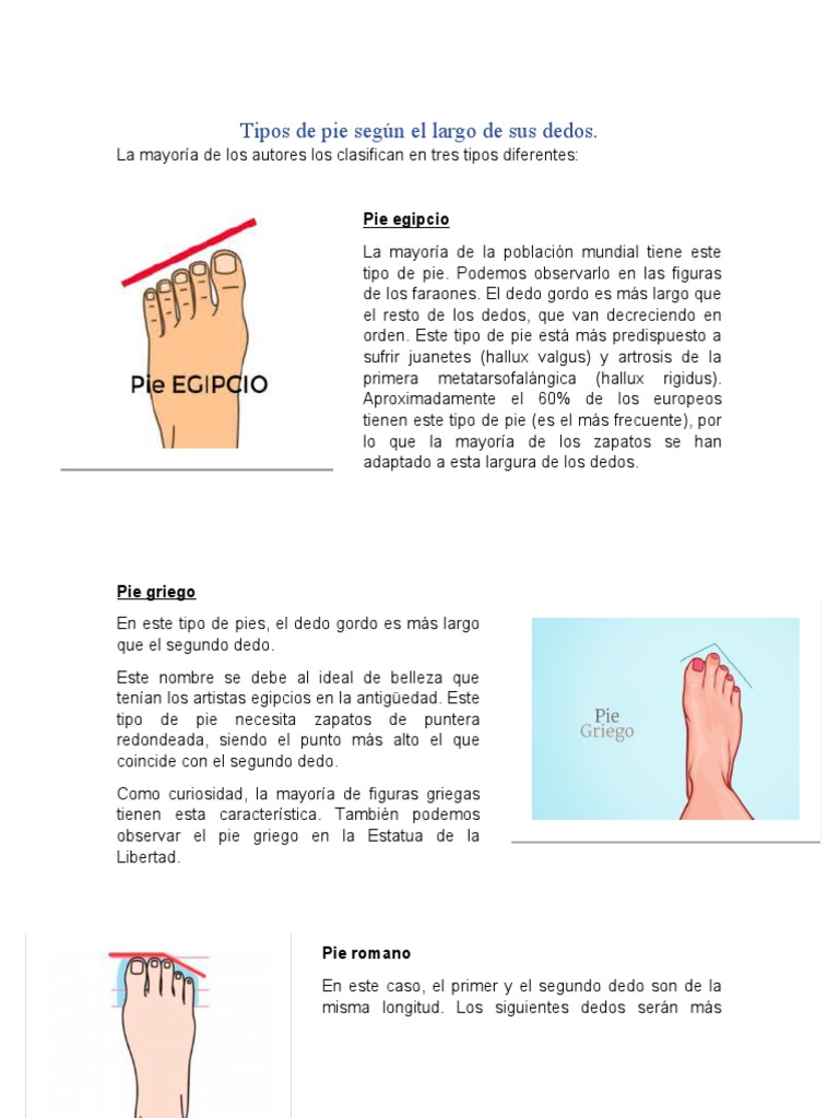 Tipos de pie según la forma y dedos | PDF | Pie | Dedo del pie