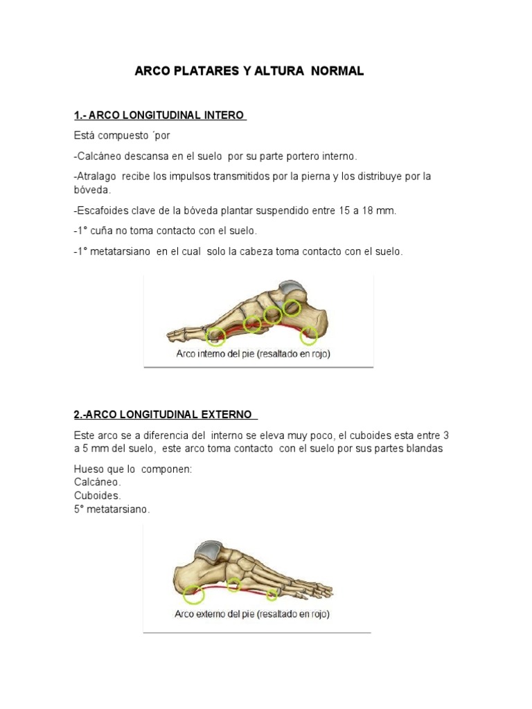 Arcos Plantares y Metatarsalgias | PDF | Pie | Dedo del pie