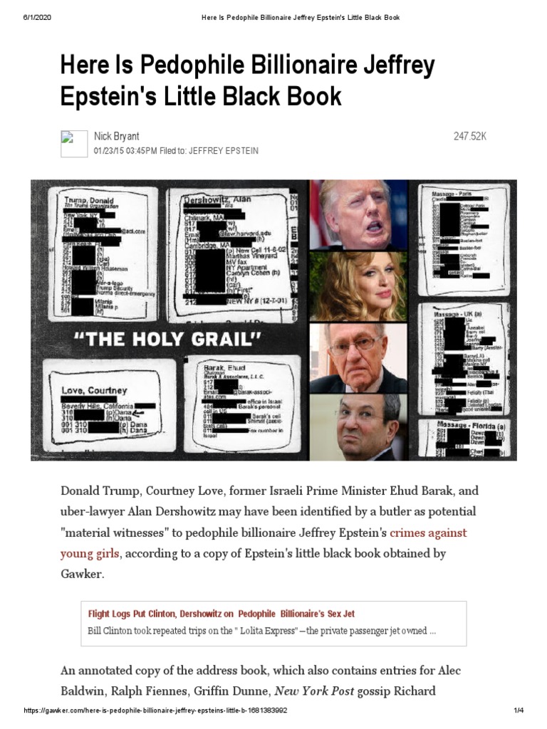 Billionaire Jeffrey Epstein's Little Black Book | PDF | Crime & Violence | Crime Thriller