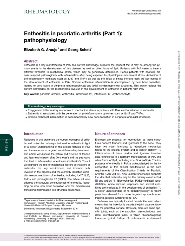 Enthesitis in Psoriatic Arthritis (Part 1) - Pathophysiology2020 | PDF ...