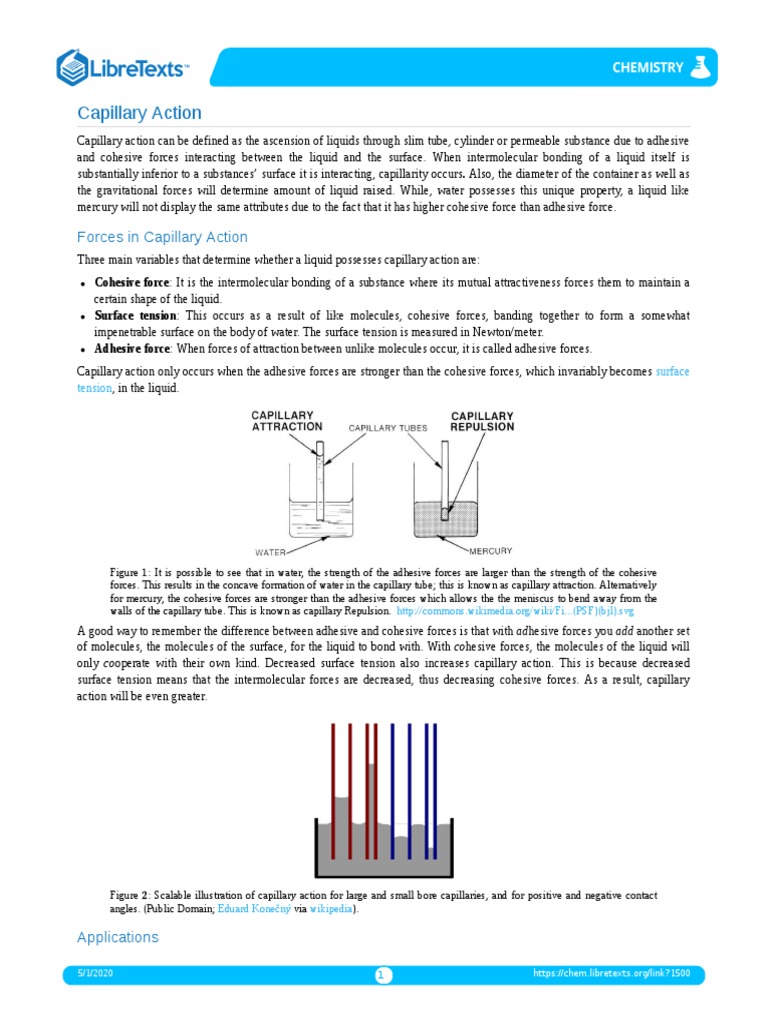 Capillary Action | PDF | Surface Tension | Adhesion