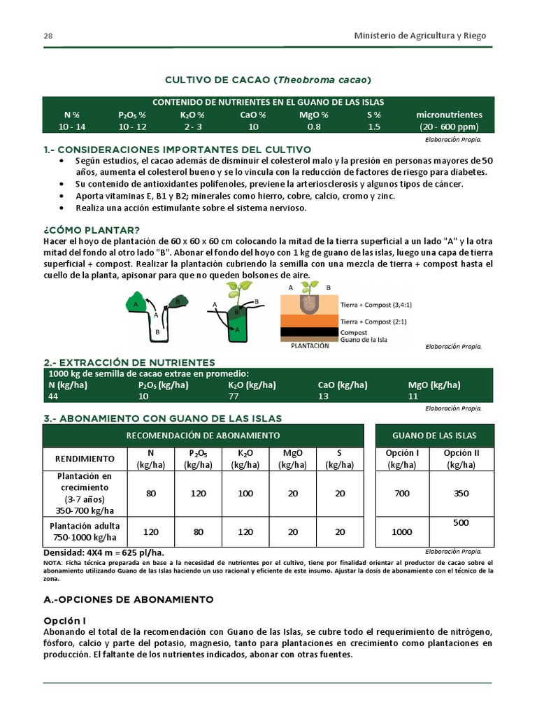 Ficha Tecnica Cacao | PDF | Fertilizante | Agricultura Ficha Tecnica Cacao | PDF | Fertilizante | Agricultura