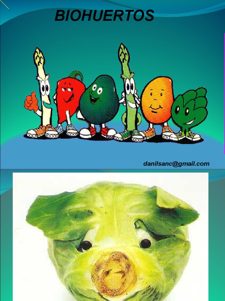 BIOHUERTOS | PDF | Suelo | Ecología