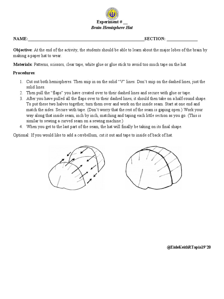 Brain Hemisphere Hat | PDF
