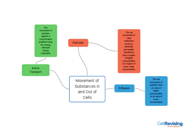 Cell Substance Movement Explained | PDF