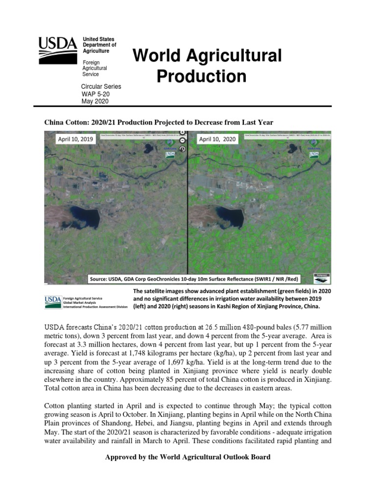 Production PDF | PDF | Wheat | Agriculture