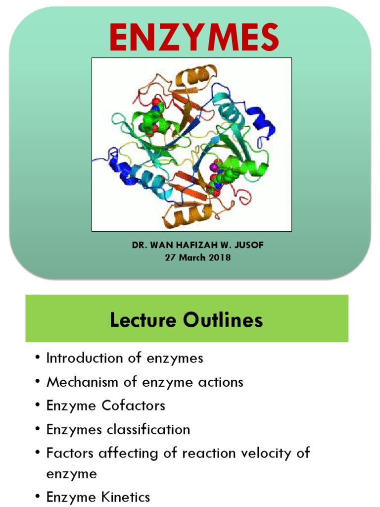 Enzymes PDF | PDF | Active Site | Enzyme