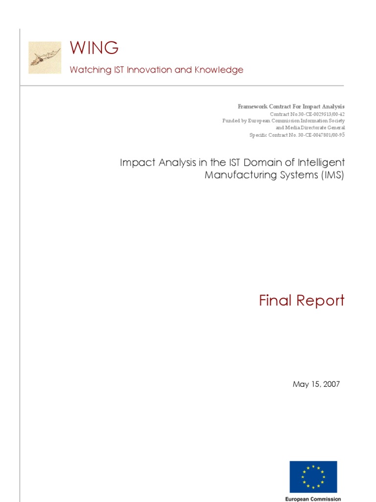 Wing Ims Finalreport | PDF | Innovation | Goal