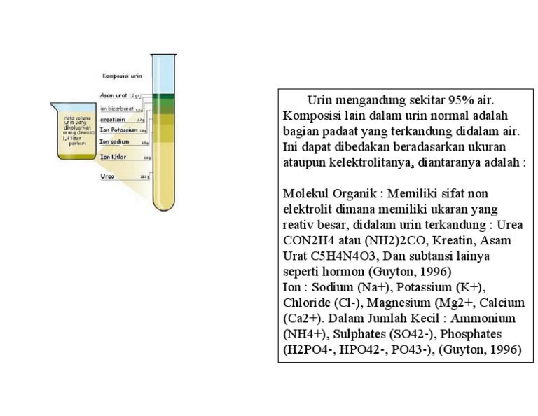Komposisi Normal Urin Manusia | PDF | Kesehatan Holistik | Sains ...