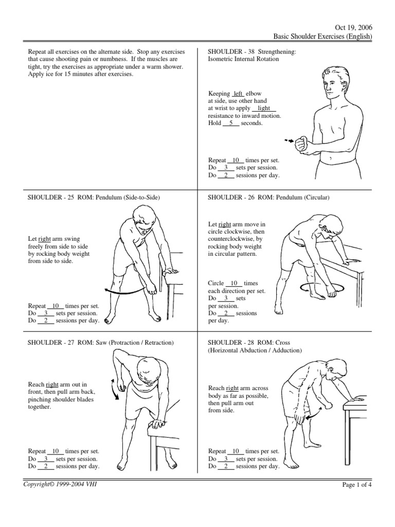 Basic Shoulder | PDF | Anatomical Terms Of Motion | Elbow