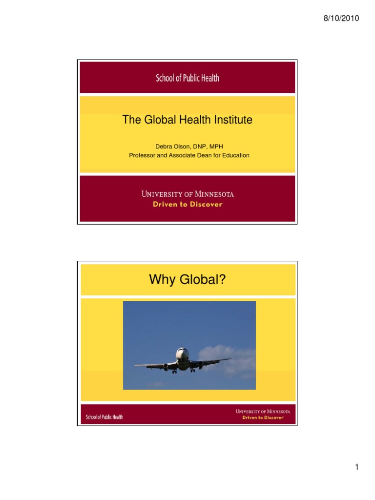 Why Global?: The Global Health Institute | PDF | Public Health | Global ...