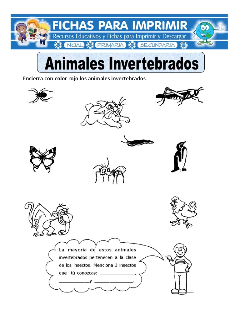 Ficha de Animales Invertebrados para Primaria | PDF