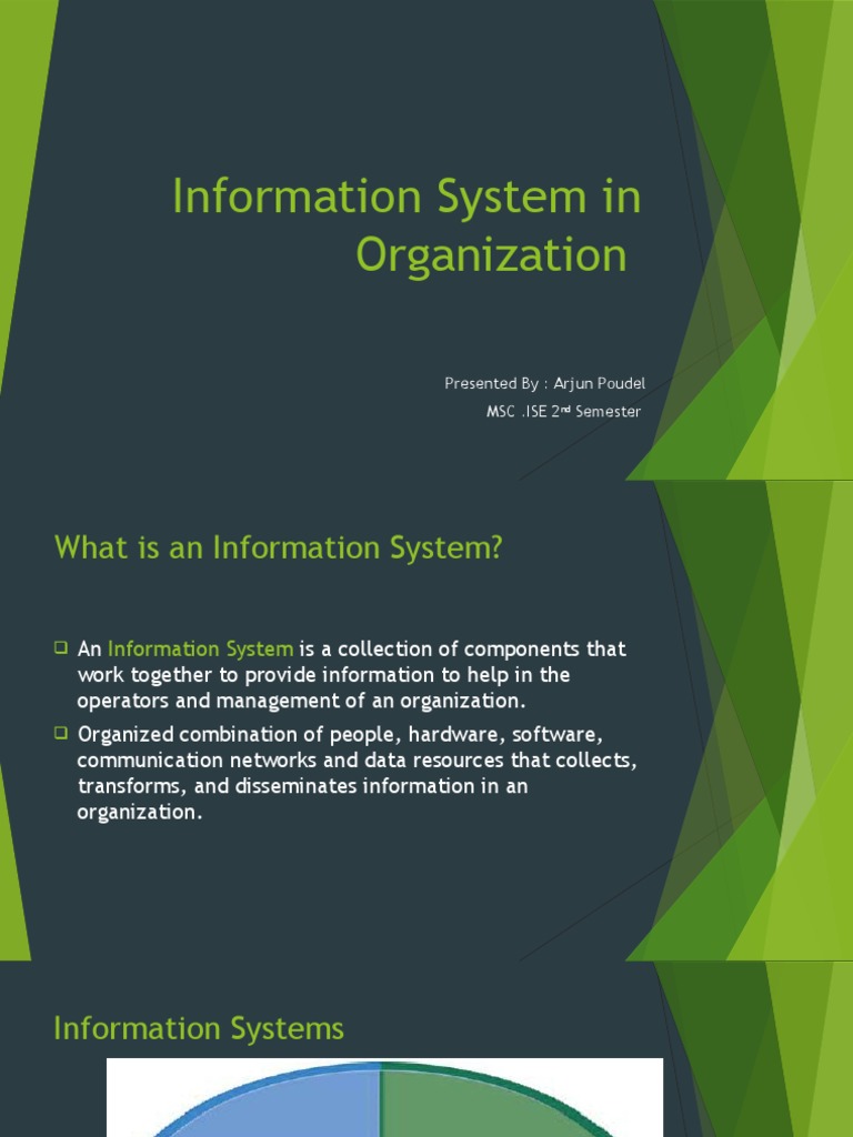 Information System In Organization Pdf Business Technology