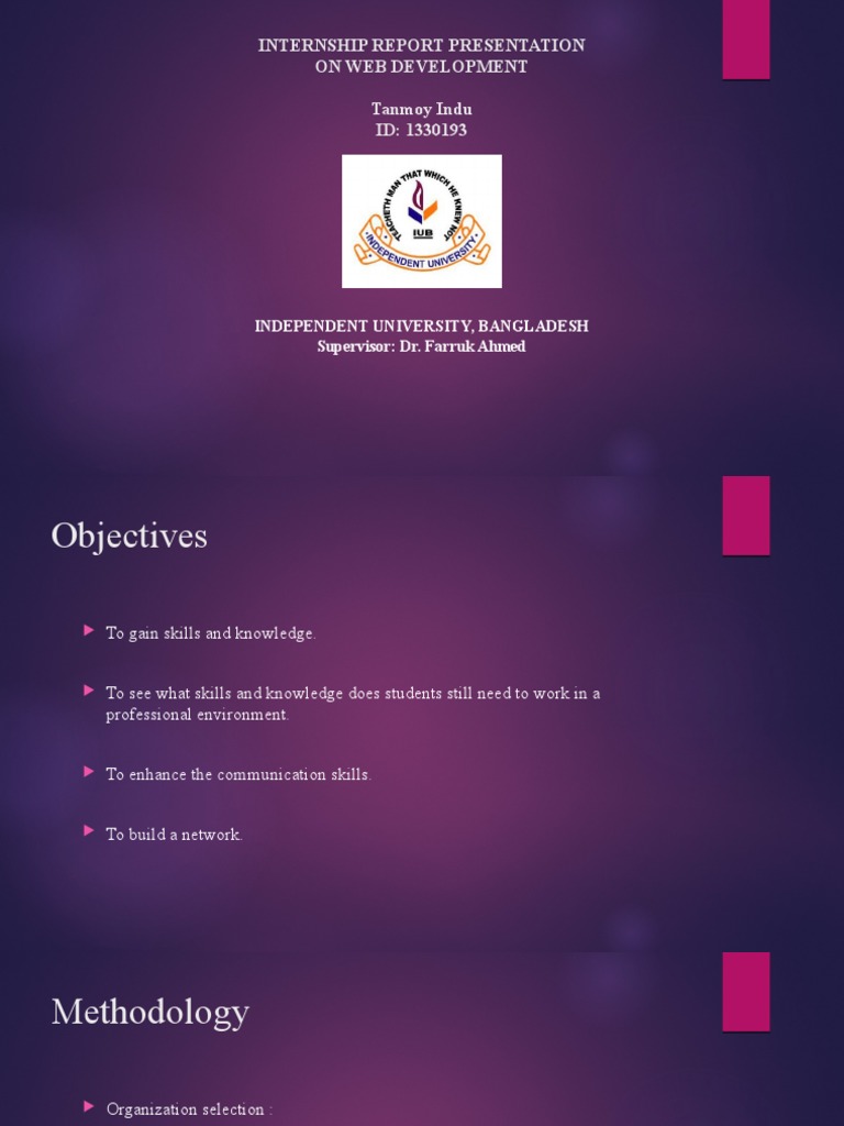 Web Development Internship Report | PDF | Computers