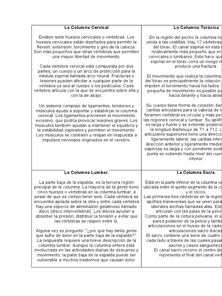 La Columna Vertebral | PDF | La columna vertebral | Vértebra