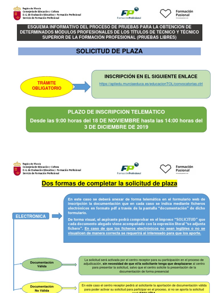 159461-Esquema Proceso Pruebas Libres PDF | PDF | Desarrollo profesional | Educación avanzada
