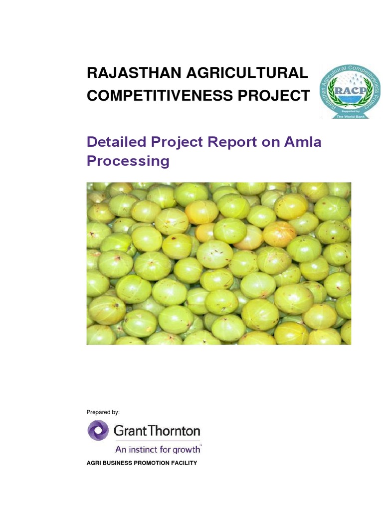RACP - ABPF - Tech DPR - Amla Processing - Project - Report PDF | PDF ...