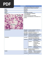 Celulas Dendriticas y Macrofagos | PDF | Célula dendrítica | Linfocitos