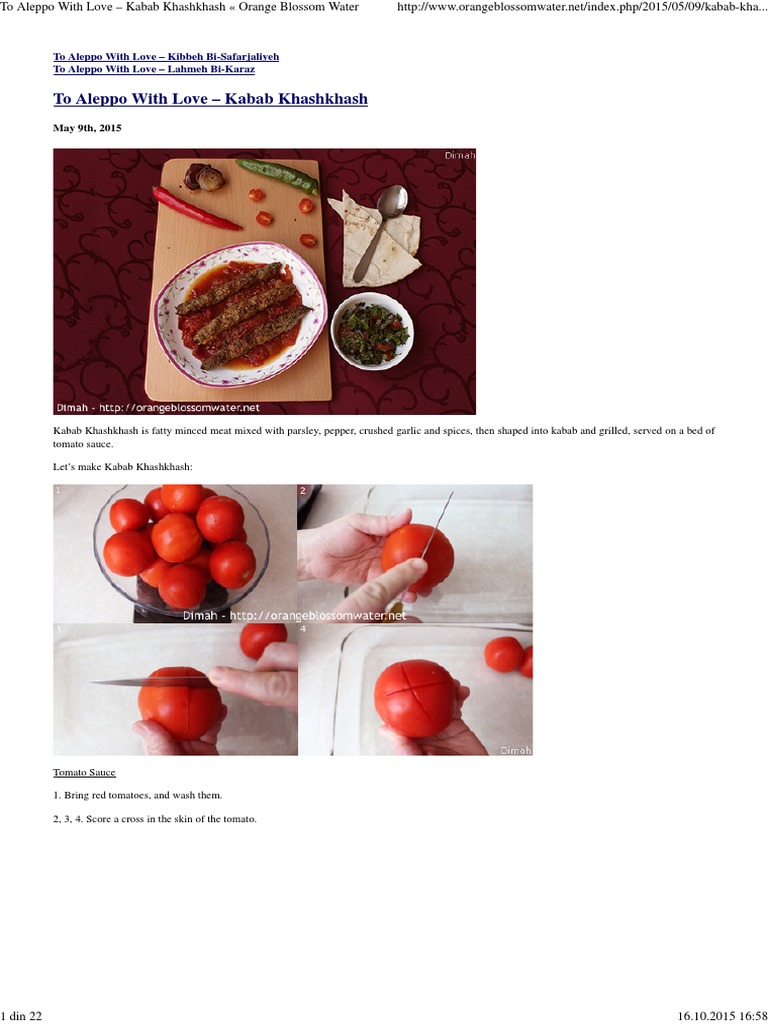 Kabab Khashkhash Recipe Guide | PDF | Kebab | Grilling