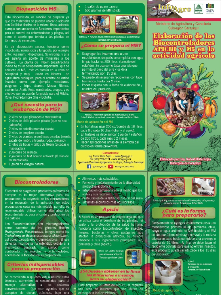 Elaboracion Biocontroladores Apichi m5-1 | PDF