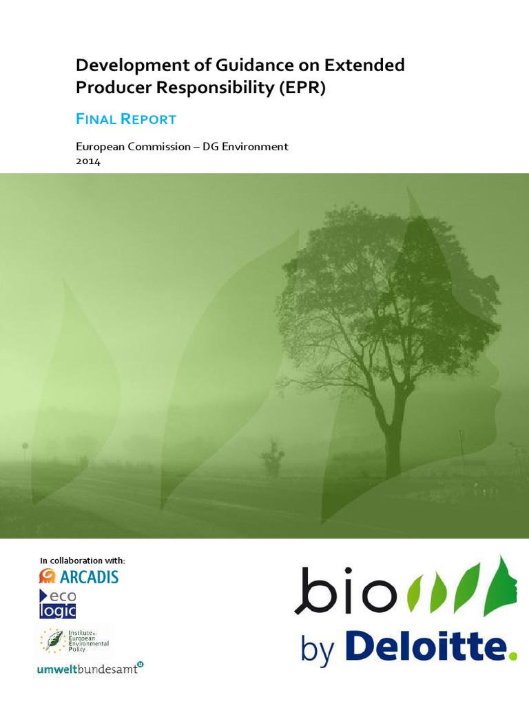 Guidance On EPR Final Report PDF | PDF | Recycling | Waste