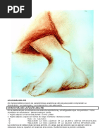 Matricectomía: Técnicas y Consideraciones | PDF | Clavo (anatomía ...
