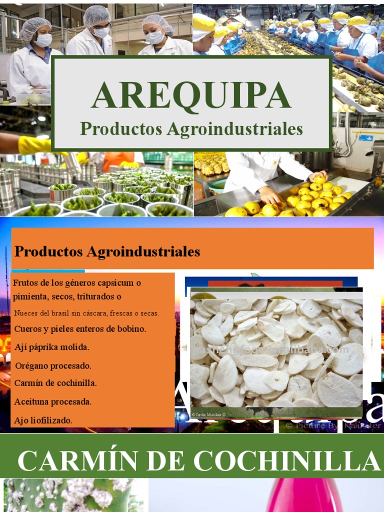Carmin de Cochinilla | PDF | Alimentos | Compuestos químicos