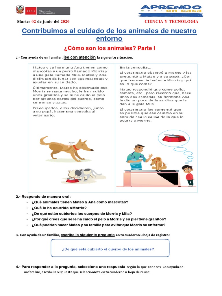 Cubiertas del Cuerpo de los Animales | PDF | Ocio