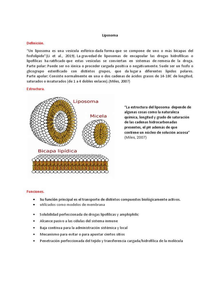 Liposomas | PDF | Liposoma | Bioquímica