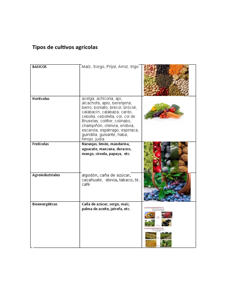 Tipos de Cultivos Agrícolas | PDF
