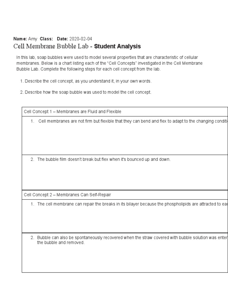 Cell Membrane Bubble Lab Analysis | PDF | Cell (Biology) | Cell Membrane