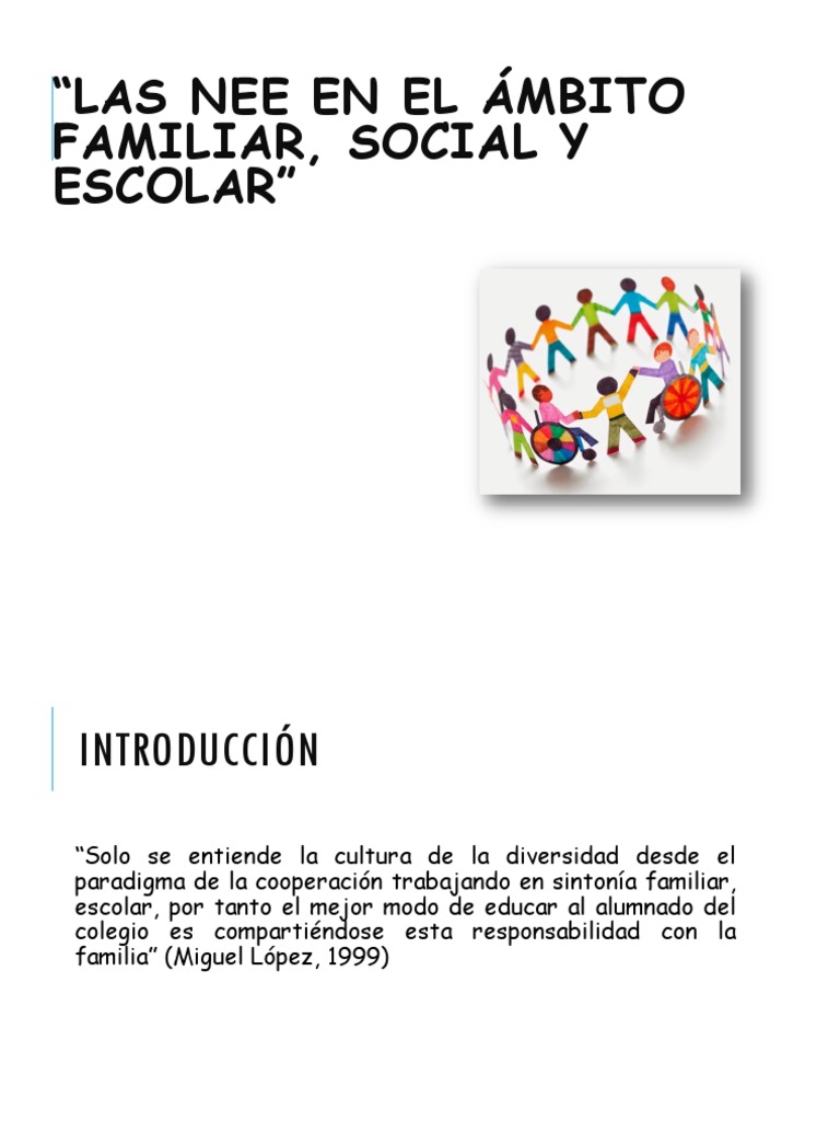 Las Nee en El Ámbito Familiar, Social Y Escolar | PDF | Evaluación ...