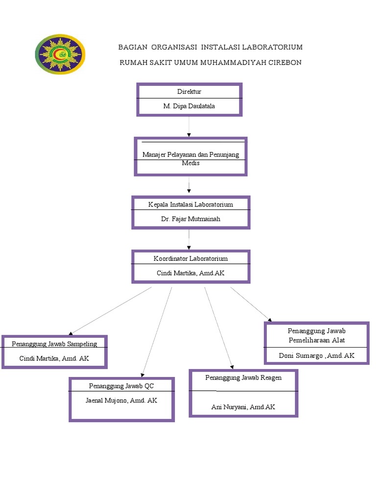 Struktur Organisasi Laboratorium | PDF