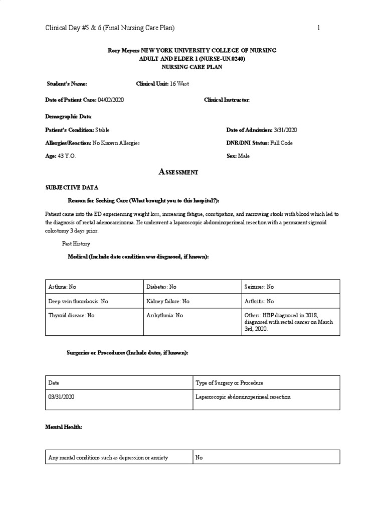 Final Nursing Care Plan | PDF | Constipation | Health Sciences