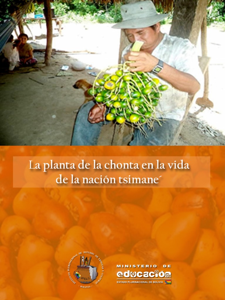 La Planta de Chonta en La Vida de Naciontsimane PDF | PDF | Alimentos ...
