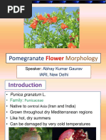 RHS Colour Charts Editions PDF | PDF | Color | Graphic Design