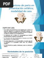 3.examen Fisico de La Paciente Embarazada | PDF | El embarazo | Especialidades Medicas