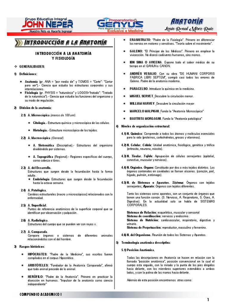 Anatomía - John Neper | PDF | Abdomen | Intestino grueso