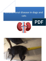 IRIS Pocket Guide To CKD PDF | PDF | Chronic Kidney Disease | Creatinine