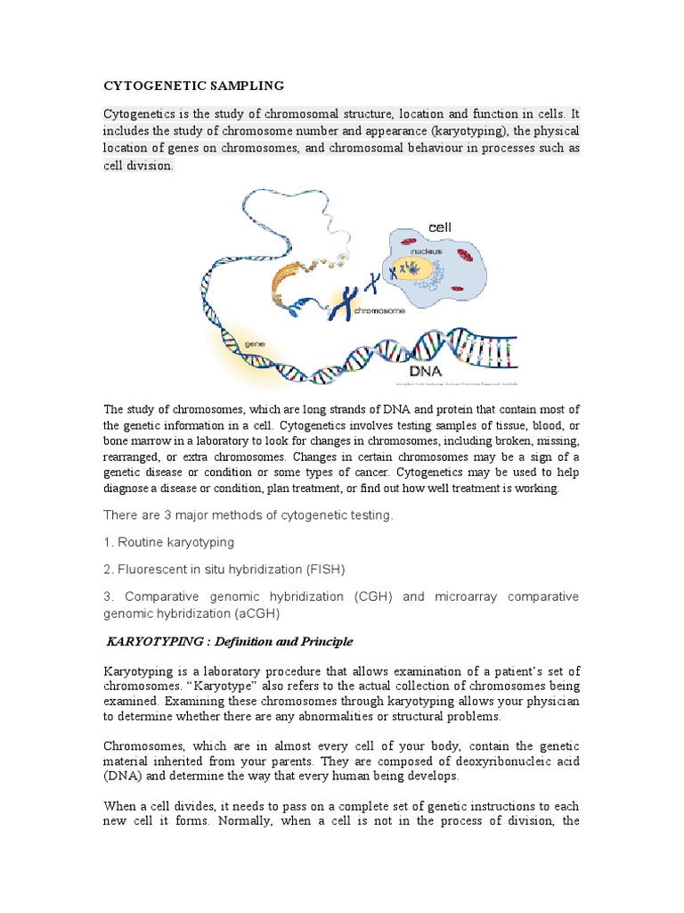 Cytogenetics Definition And Examples – BLGQMG