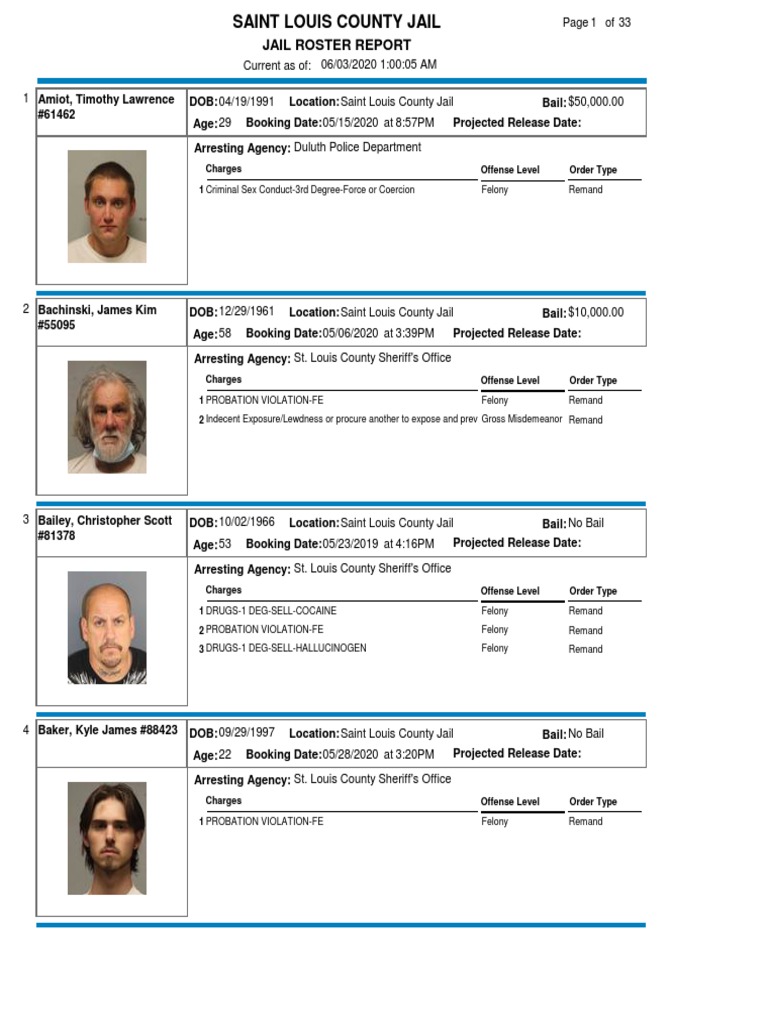 Jail Roster Report: Charges 1 Offense Level Order Type | PDF ...