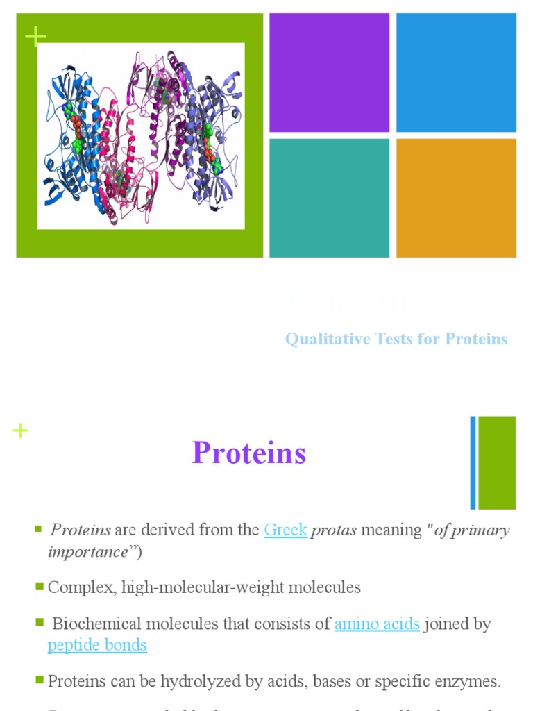Proteins: Qualitative Tests For Proteins | Download Free PDF | Protein ...